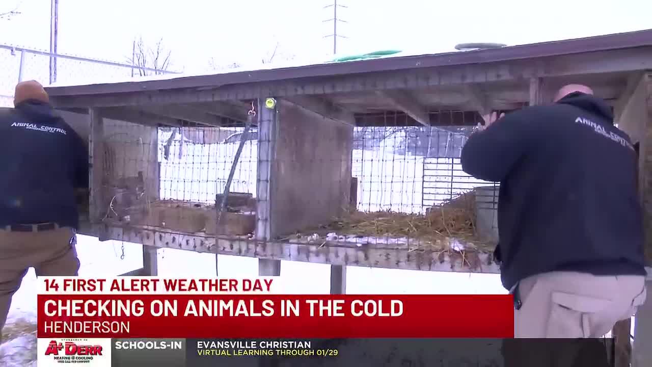 Henderson County animal control officers check on pets during bitter cold