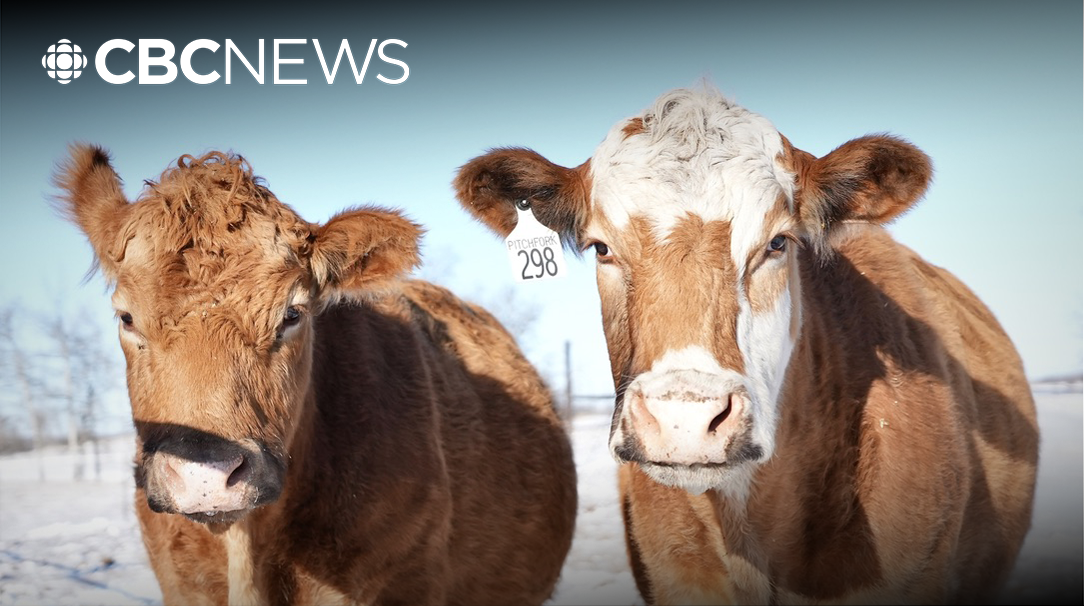 Farmers say they'll pay the price of new CFIA rules