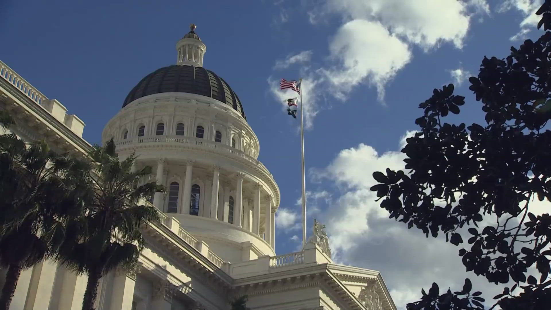 California Democrats introduce bills targeting companies that contract ...