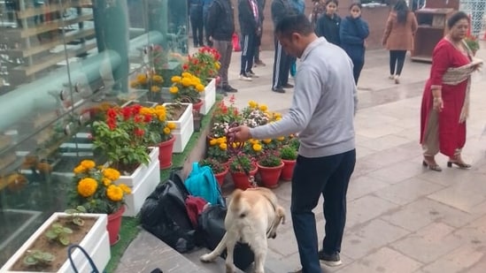 13 schools in Gurugram receive bomb threat emails; later dismissed as hoax