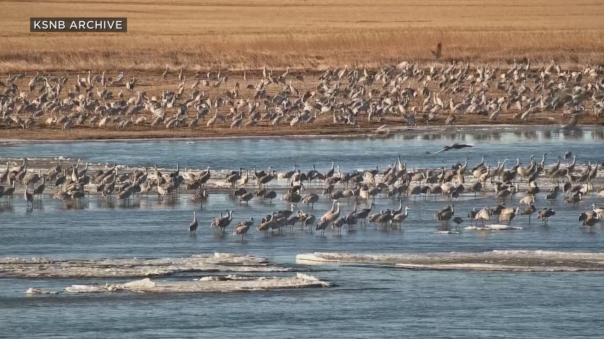 Kearney County residents learn about wind energy impacts on bird ...