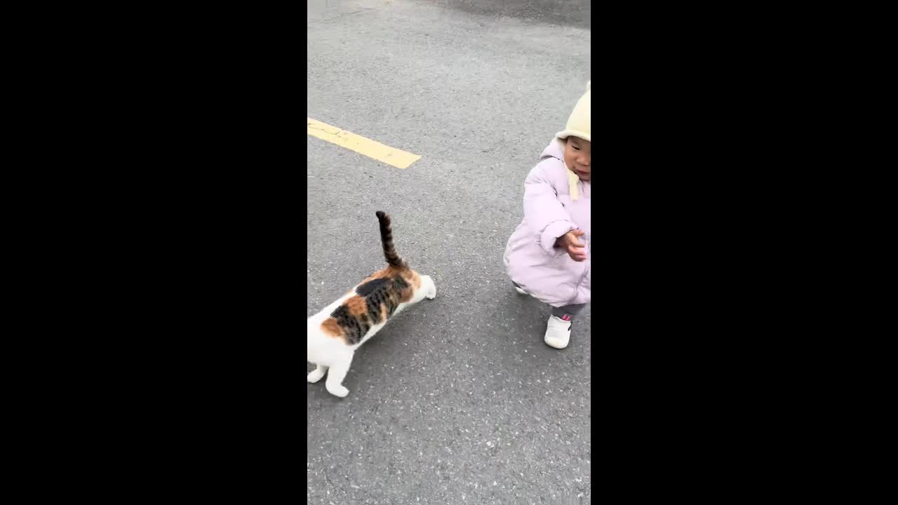 Cat mimics child after playful tumble during outdoor fun in Jiangxi, China