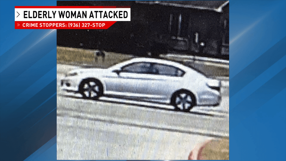 'I pray to God they catch this person': Elderly woman attacked at ...