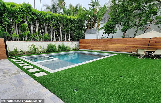 Why this ordinary lawn has sparked a neighbourhood war in a quiet ...