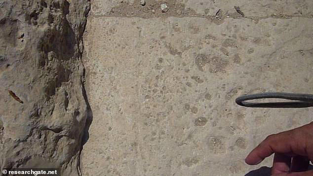 Origins of Egypt's Great Pyramid upended as clues point to lost ...