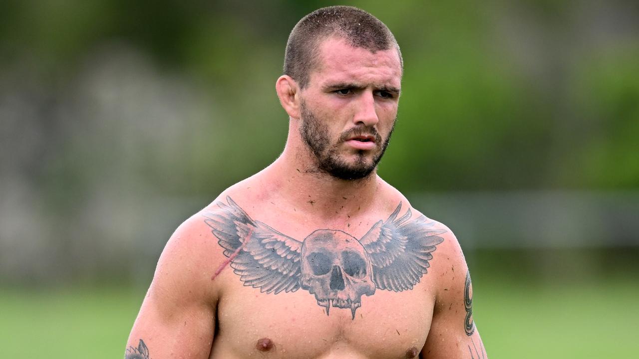 Busted Stone reveals brave Dolphin act amid Plath shock