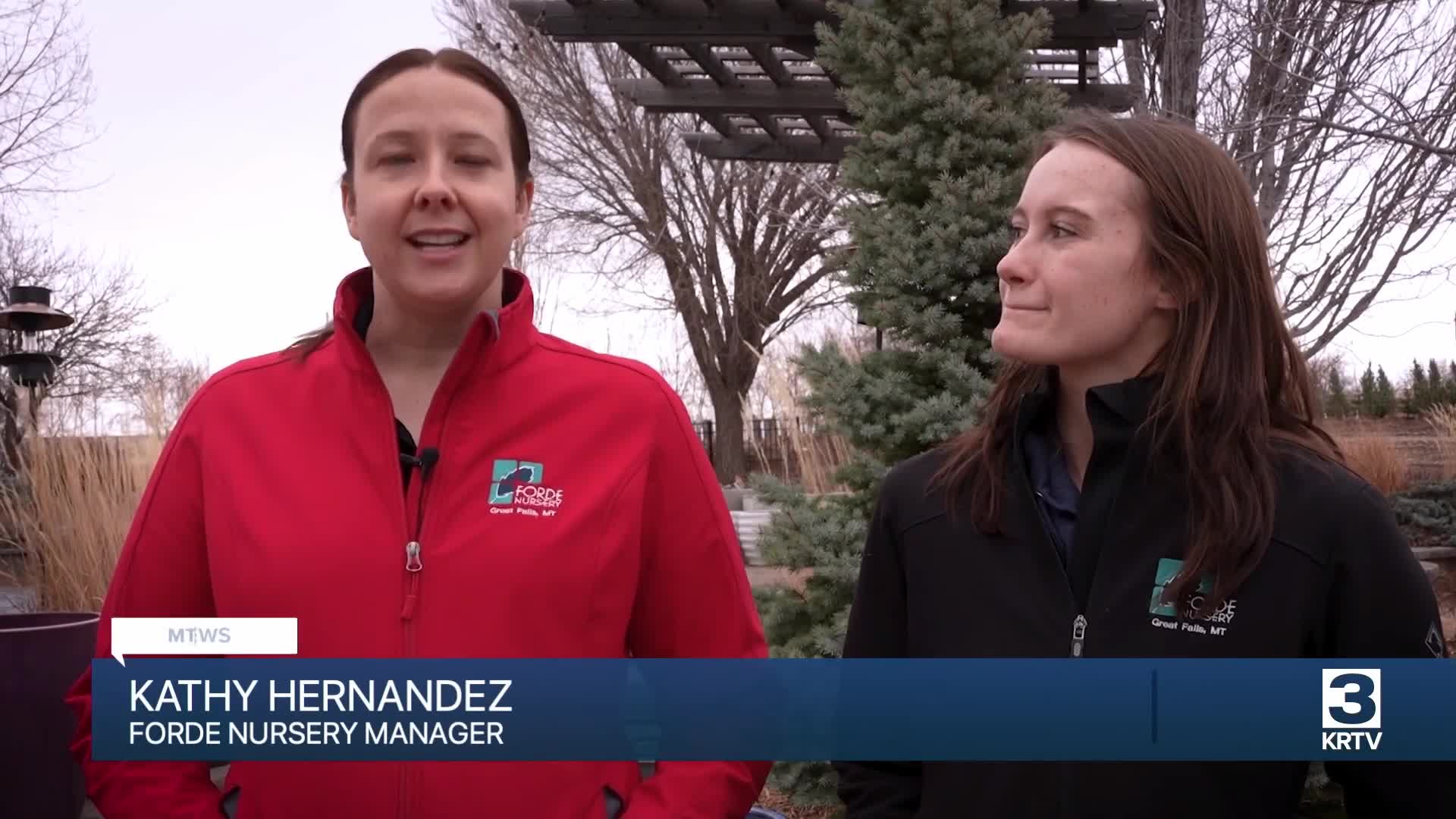 Keeping up with plant care during winter