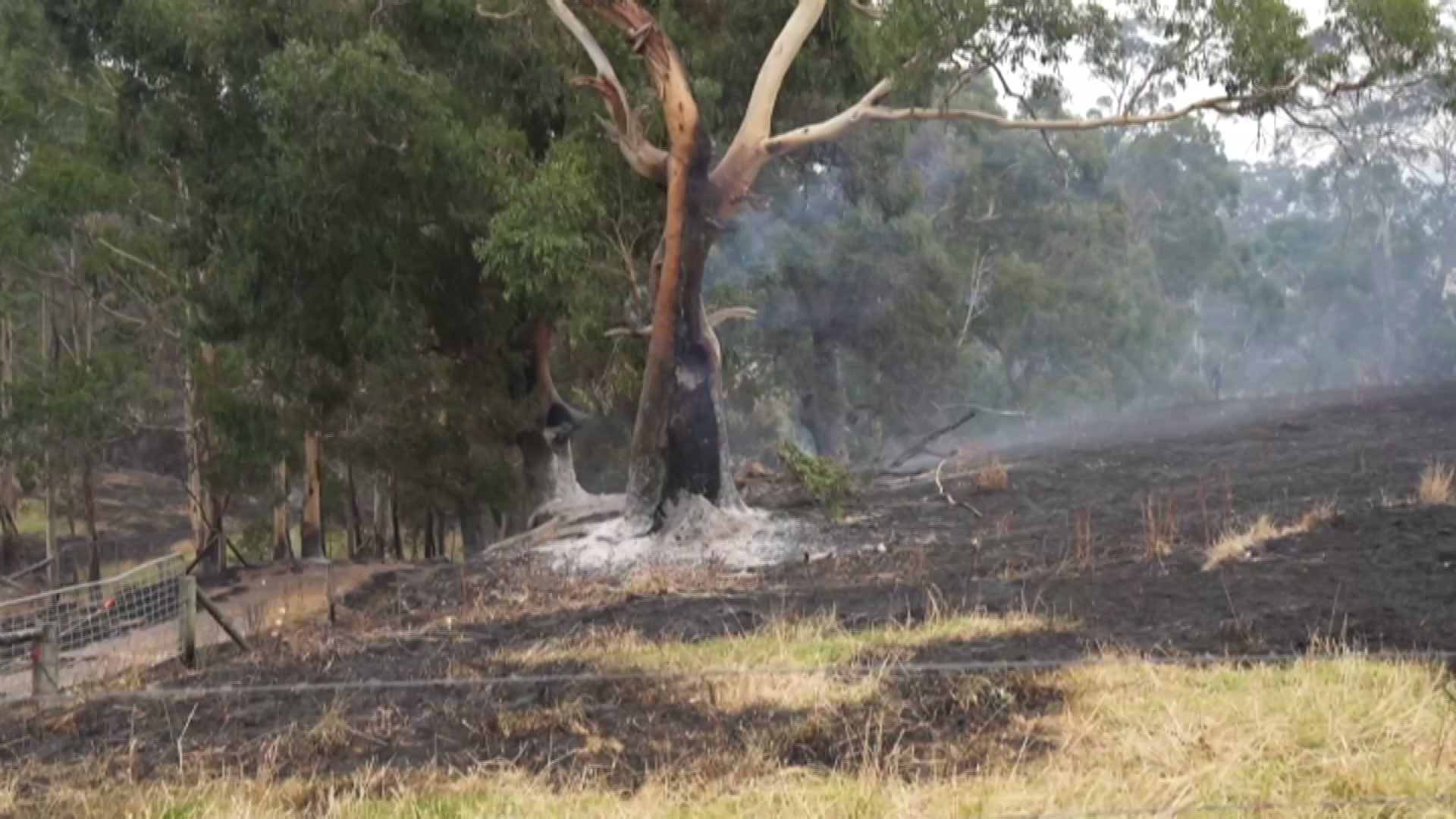 At least 16 structures destroyed by Victoria’s south-west