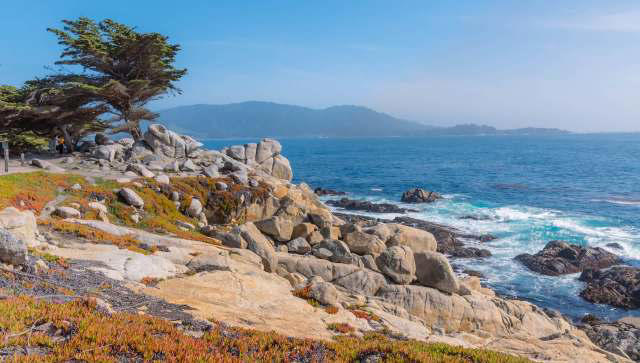 Scuba diver stunned after capturing photos of creature rarely seen ...