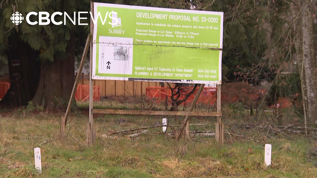 Defamation suit bans Surrey pet cemetery advocate from making human ...