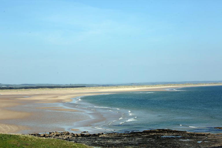 'Beautiful' and 'tranquil' Northumberland lagoon packed with rare birds