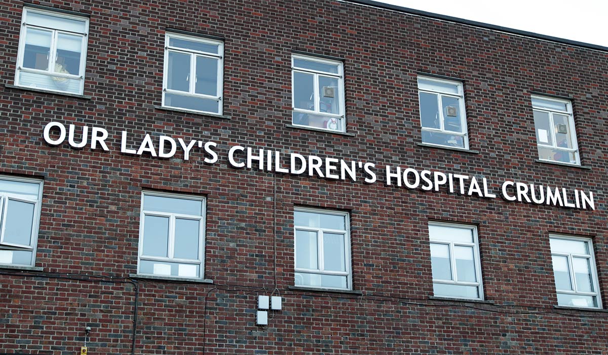 Toddler, 2, mauled by two dogs in Co Kilkenny