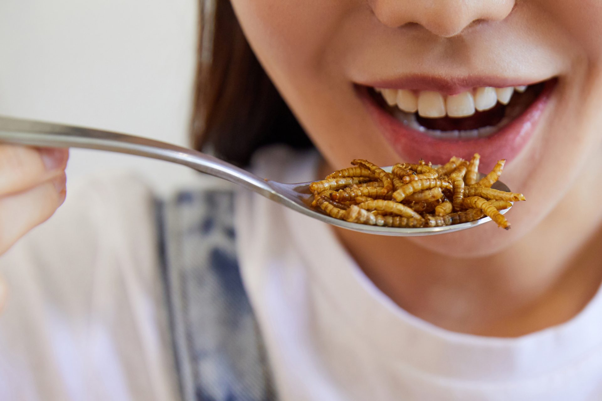 10 bonnes raisons de manger des insectes en 2026
