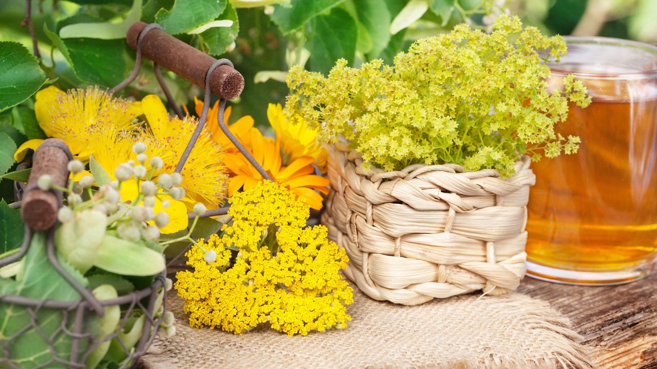 From January to December, there’s a delicious herbal tea plant for ...