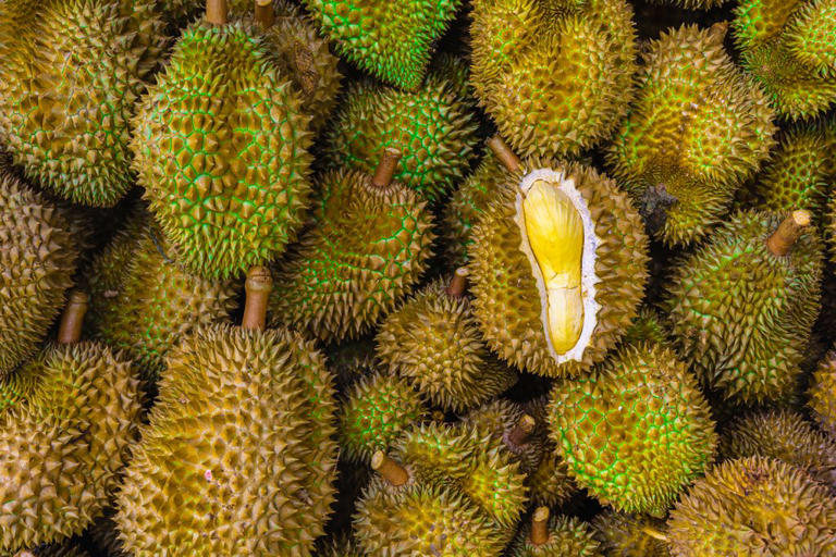 Durian – exotische Frucht mit intensivem Aroma und großer Wirkung