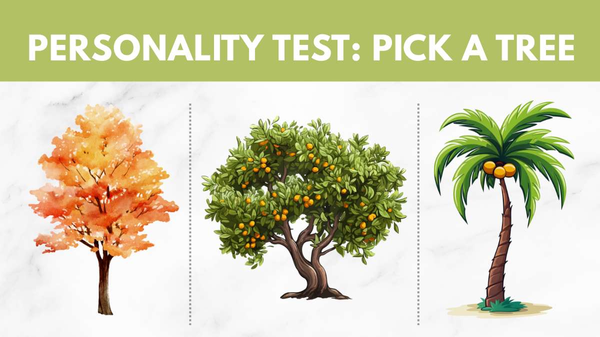 Personality test: Pick a tree to reveal your natural talent