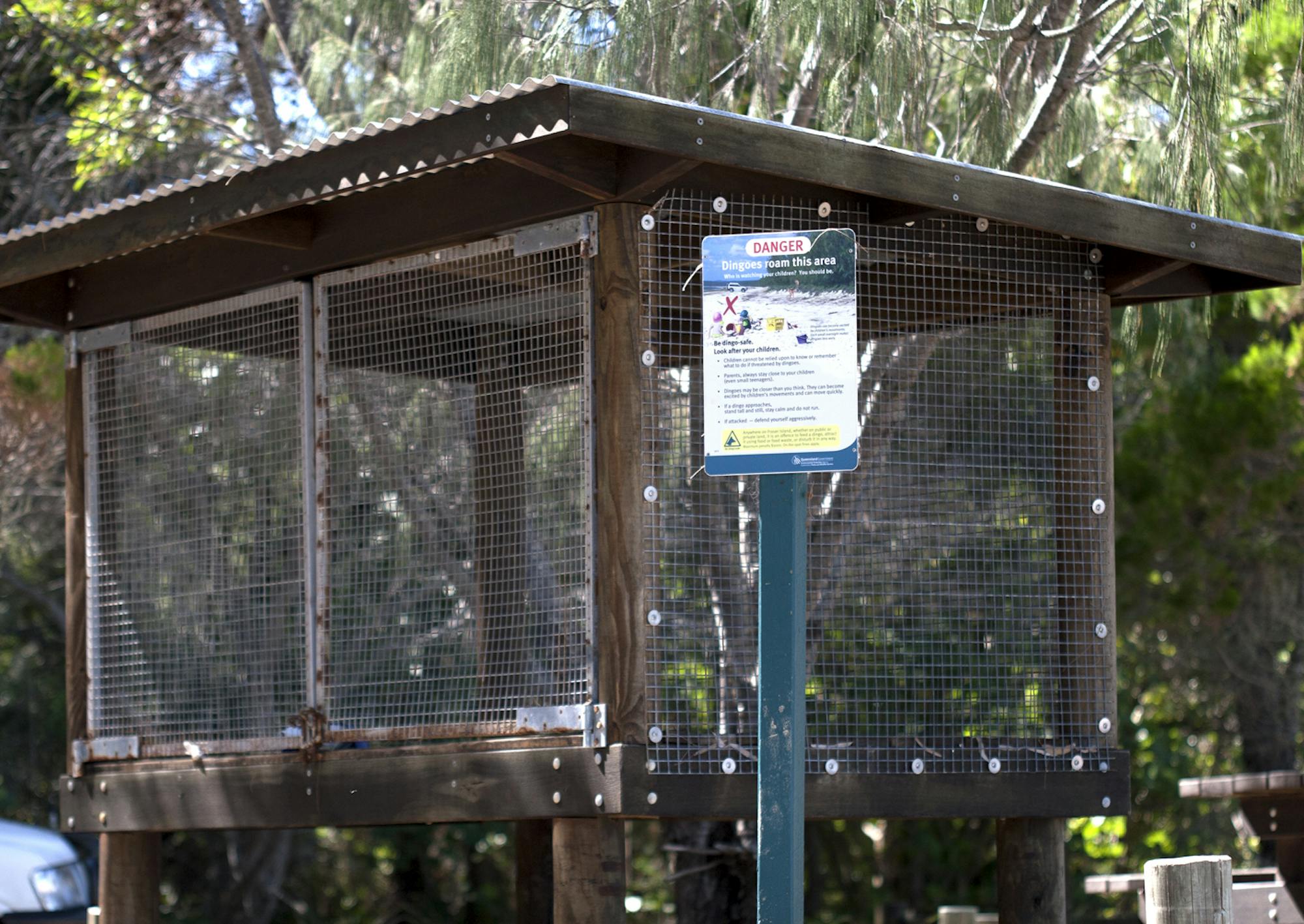 Will killing dingoes on K’gari make visitors safer? We think it’s unlikely