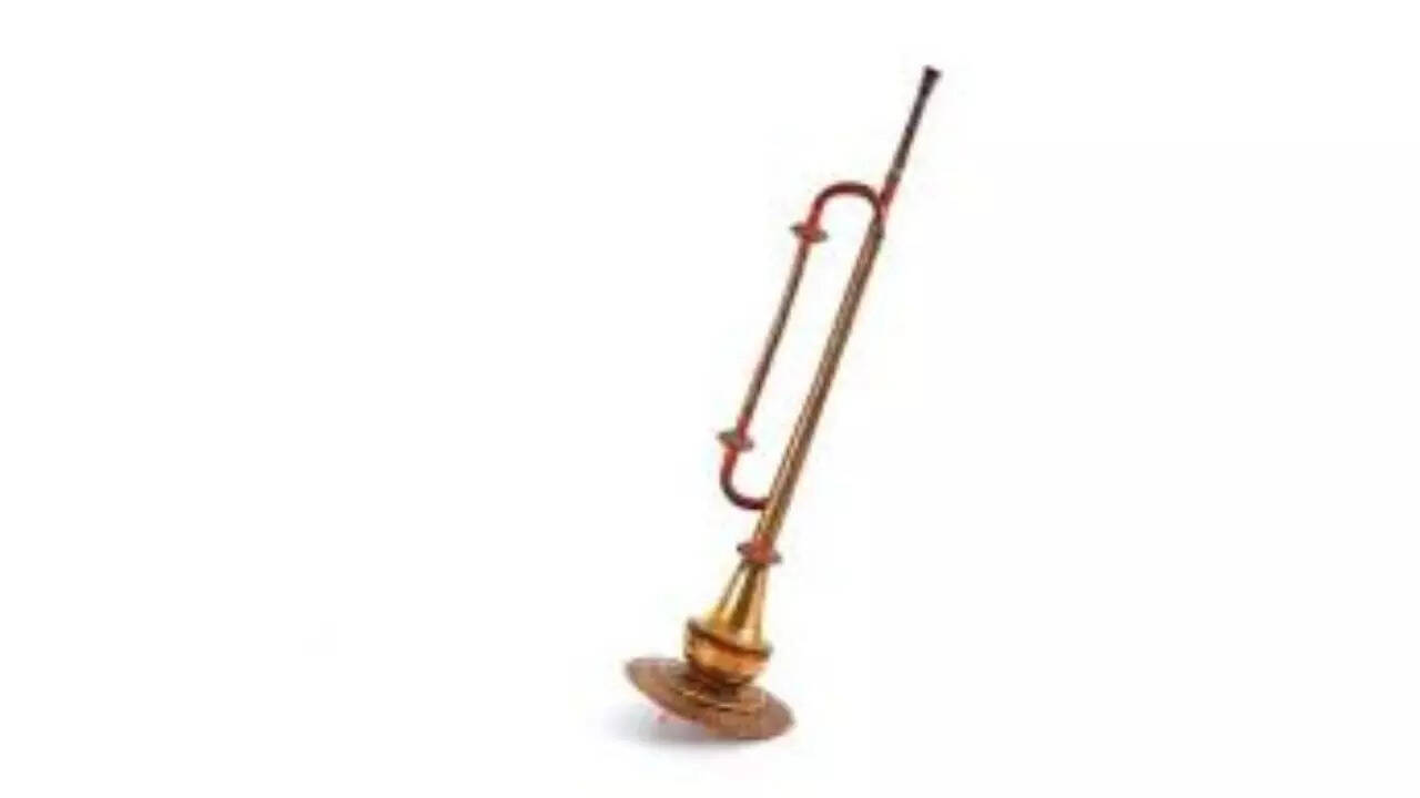 7 unique musical instruments of India
