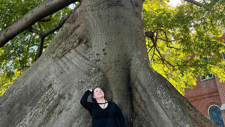 Why I didn’t fish Key West — and what I’d do differently next time