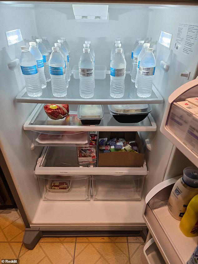 I'm freaking out about my sister's fridge - surely this is not a normal ...