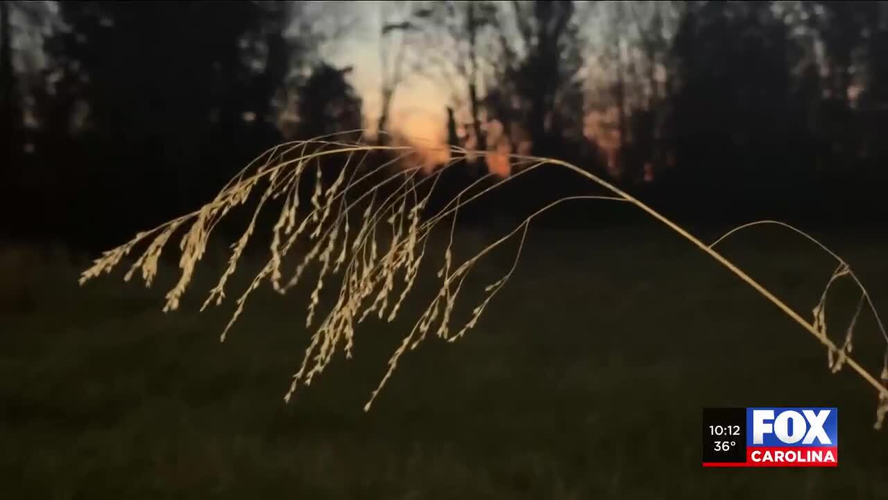 Greenville County Planning Commission denies Greer subdivision plans again