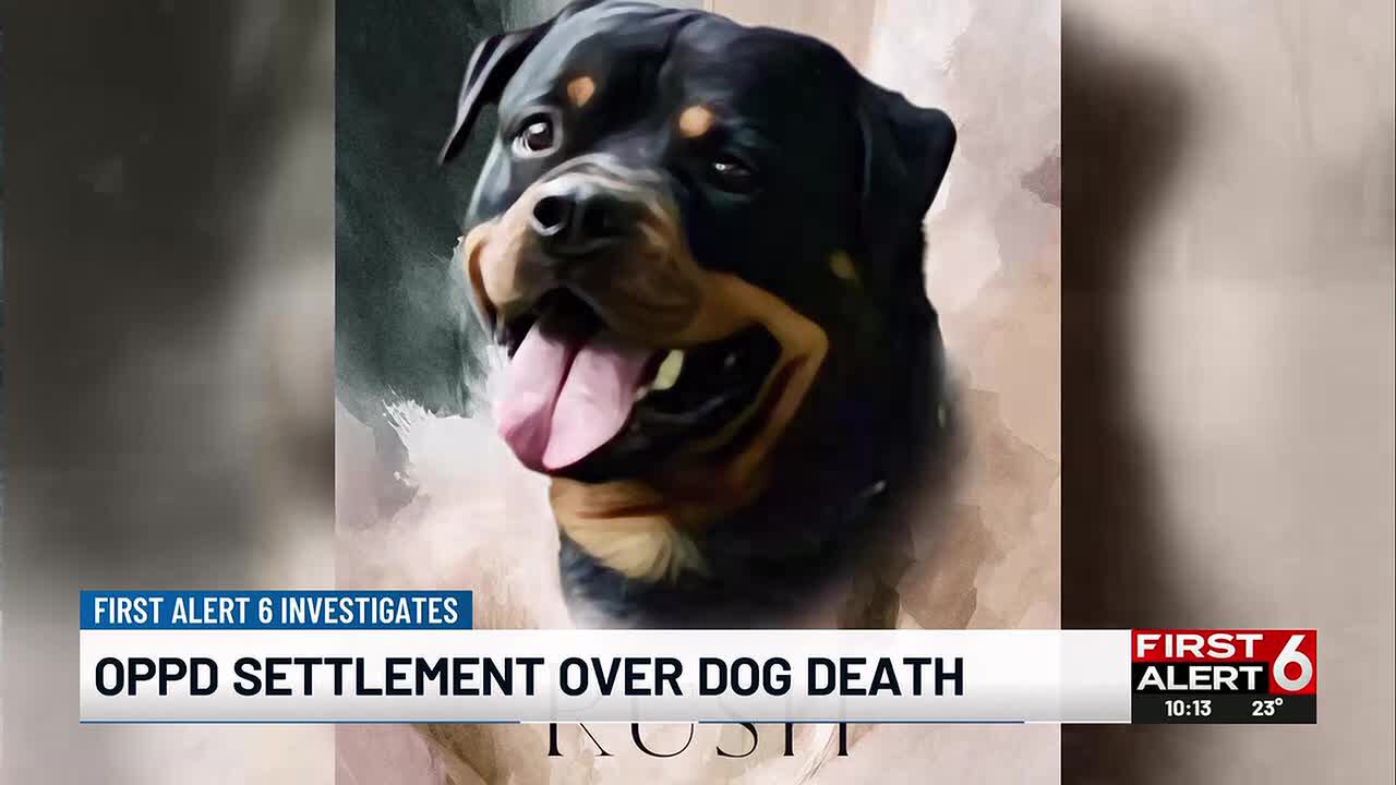 OPPD reaches settlement with dog owner over alleged weed killer ...