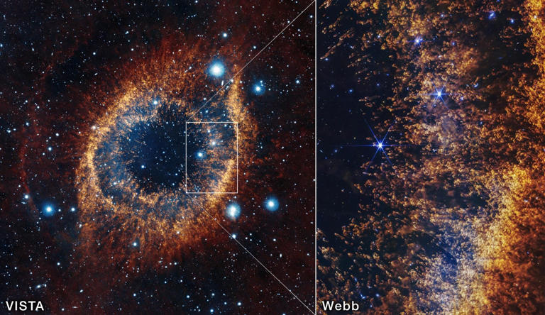 🌟 Webb captures in real time the seeding of the universe enabling the ...