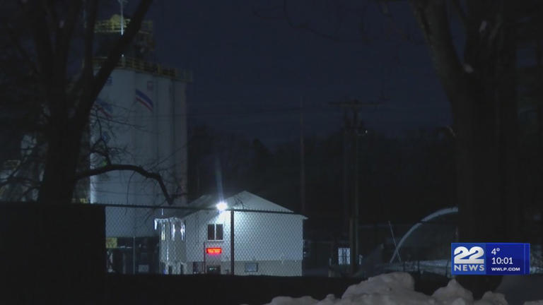 Springfield zoning board to review biomass plant permits again