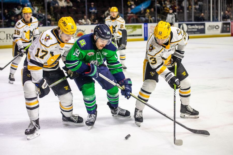 Nailers fall short in shootout against Maine