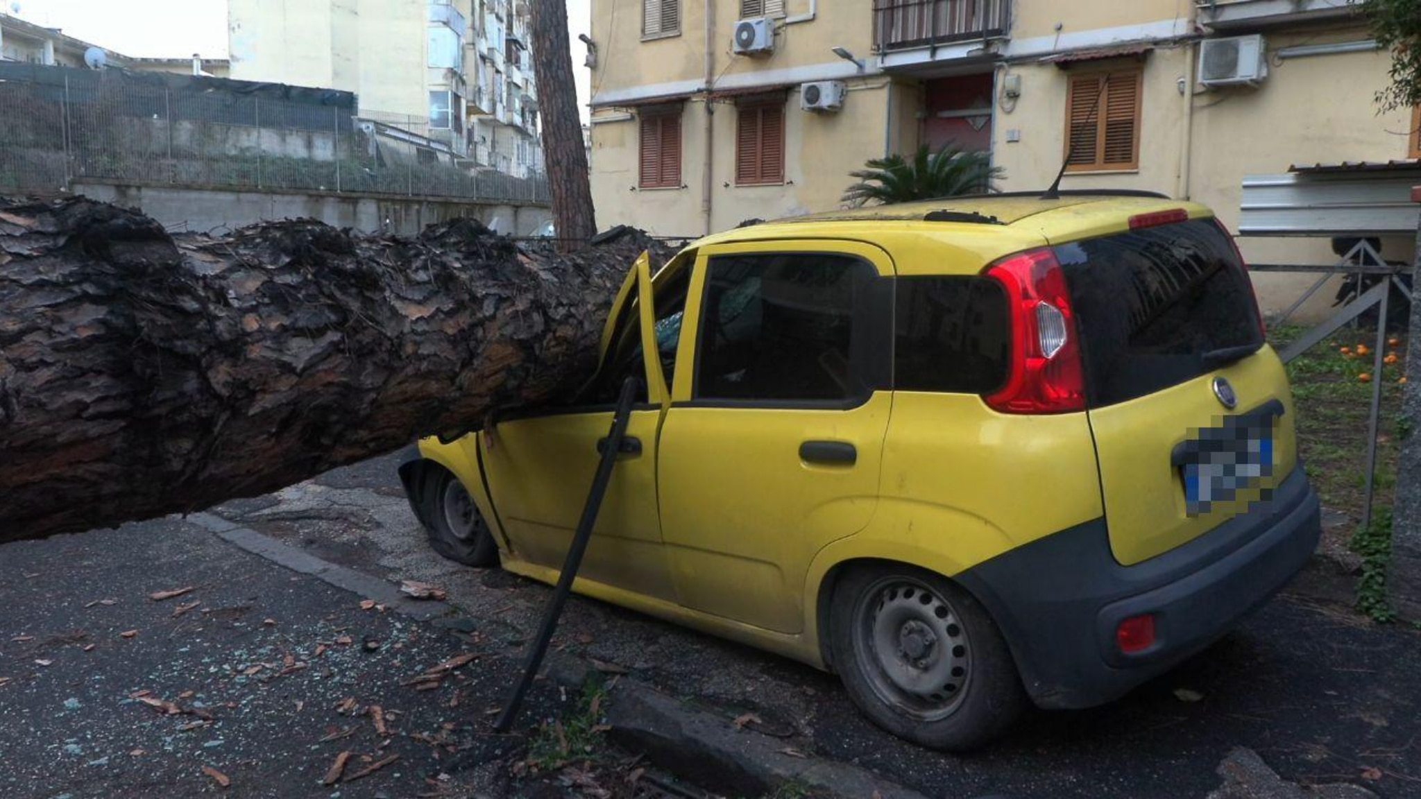 Il gigantesco albero che ha spezzato un'auto a metà a Napoli: video