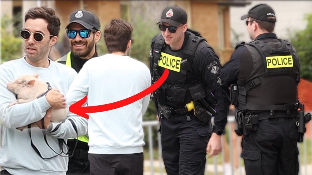 Calling police 'pigs' then showing up with a real pig