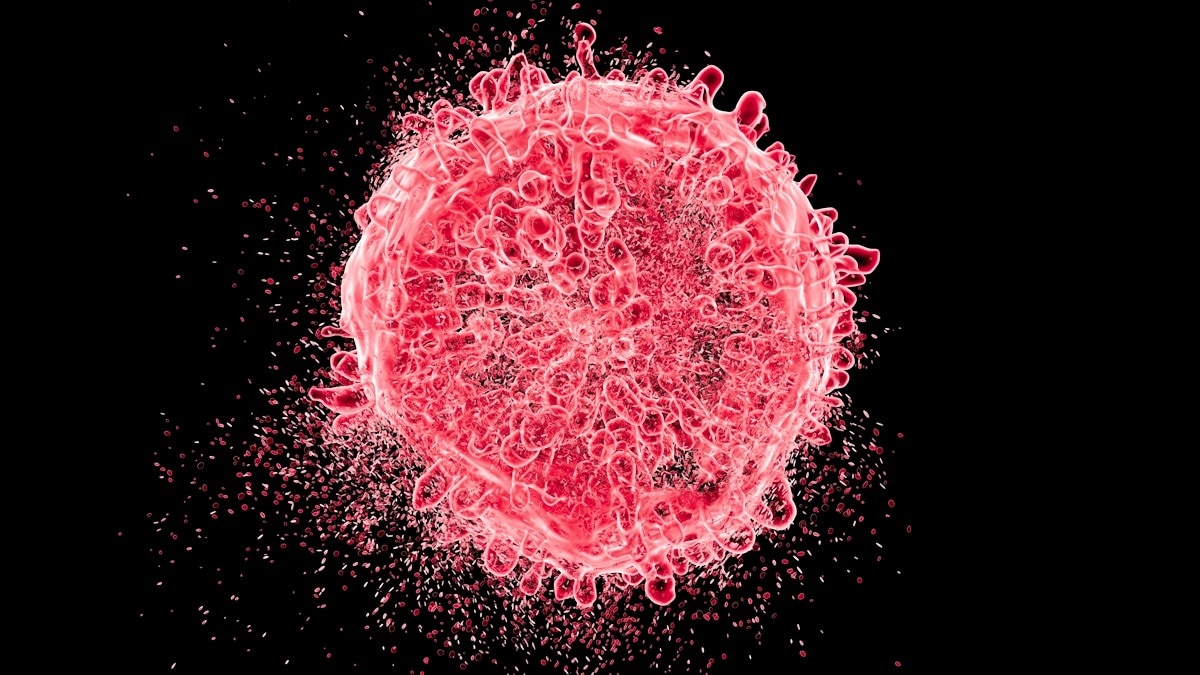 Spanish team cures pancreatic cancer in mice: The science behind it decoded