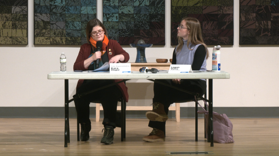 State Rep. Kara Hope holds utility price town hall in Lansing