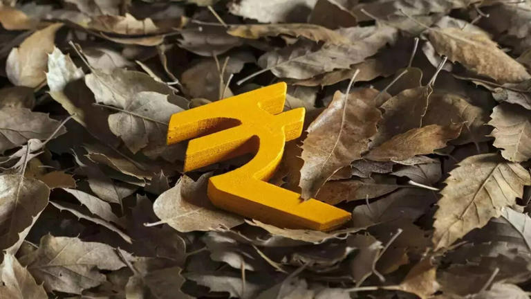 Rupee crosses 92 mark, hitting new historic low; will RBI intervene to ...