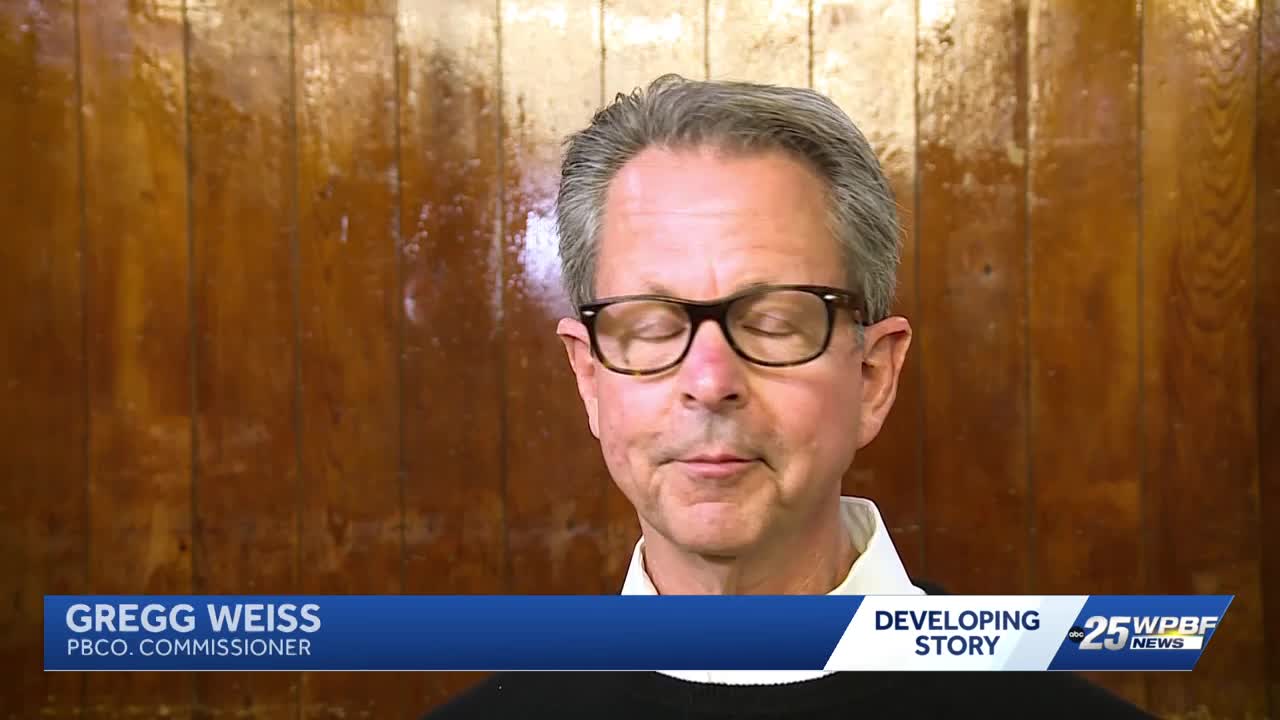 Flamingo Park residents voice complaints about noise after planes ...