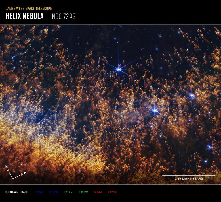 🌟 Webb captures in real time the seeding of the universe enabling the ...