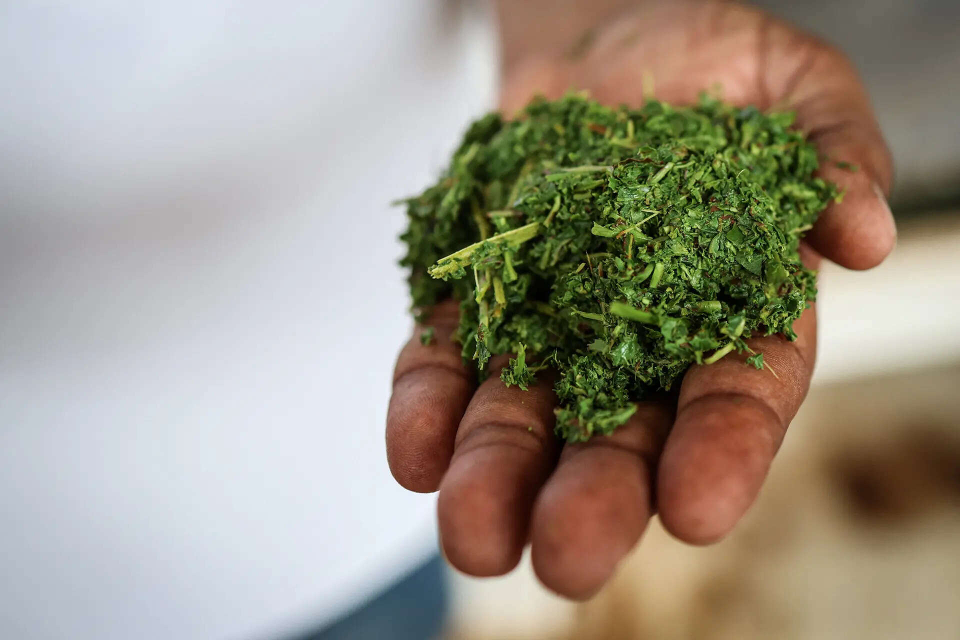 India-EU FTA opens new export avenues for Indian tea, compliance costs ...