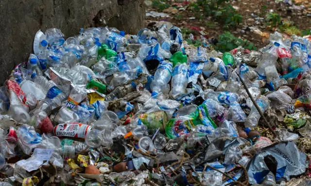 Centre notifies solid waste management rules; applicable from April 1