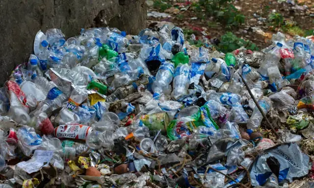 Centre notifies solid waste management rules; applicable from April 1