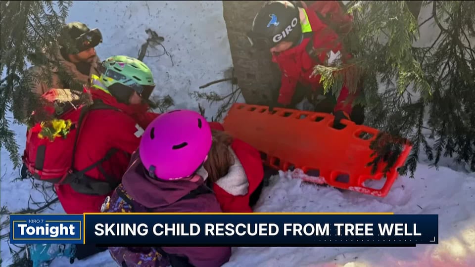 Video: Child rescued from tree well