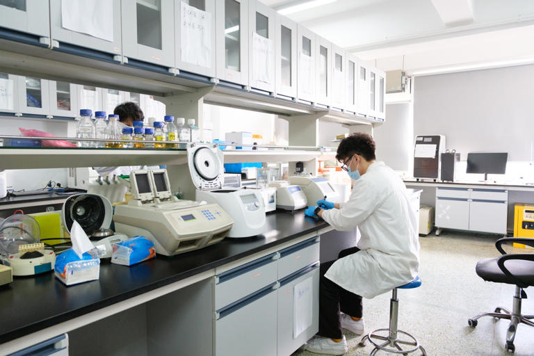 Alvotech resolves global patent disputes with Regeneron and Bayer over ...