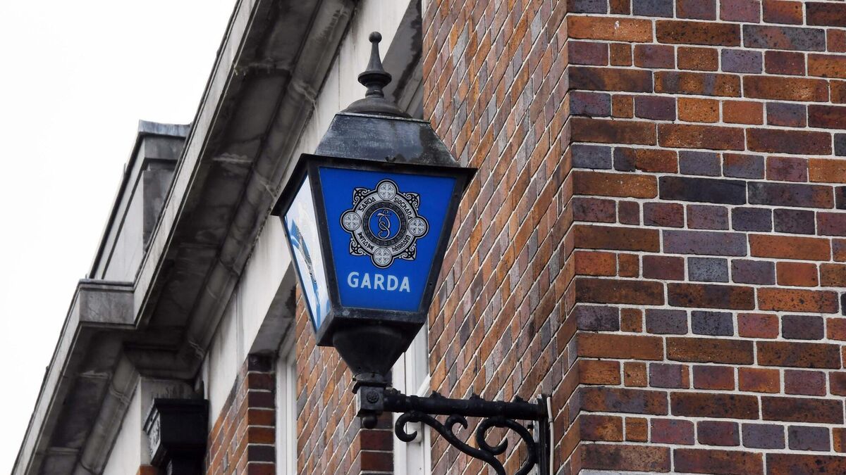 Infant boy seriously injured following attack by two dogs