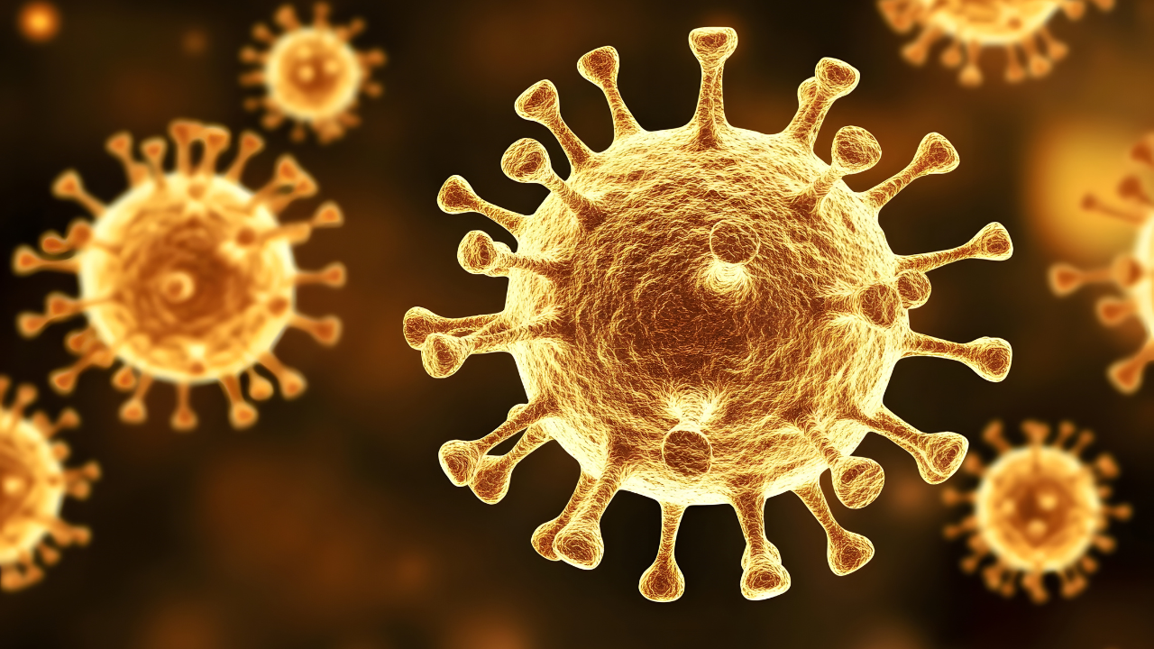 Two viruses that could trigger the next global pandemic