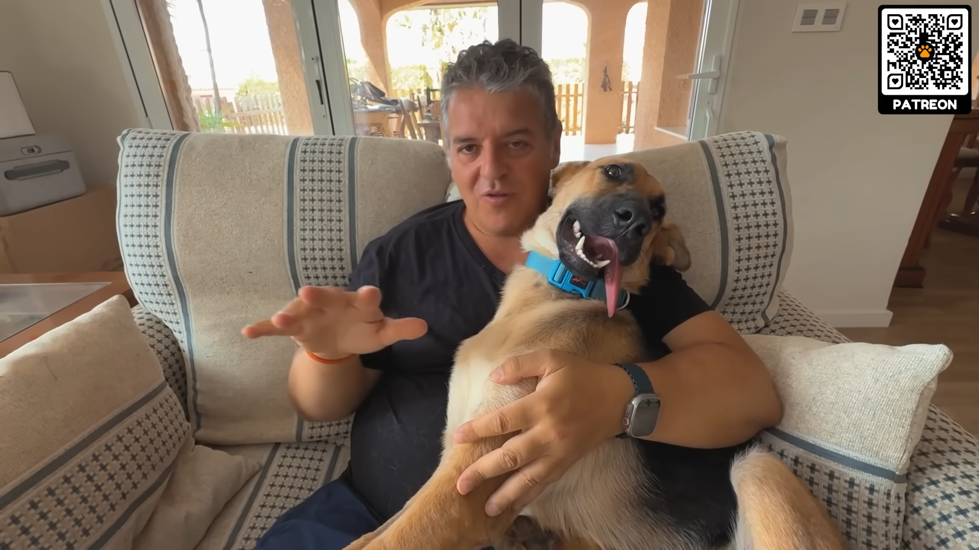 Cairo’s second chance: The dog who refused to break