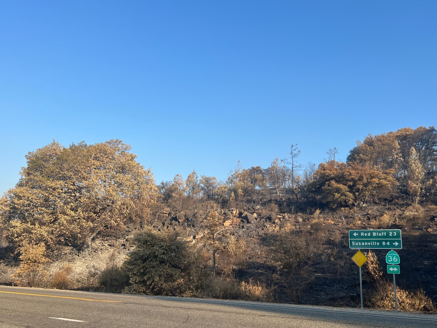 UCANR webinar series for post-fire recovery