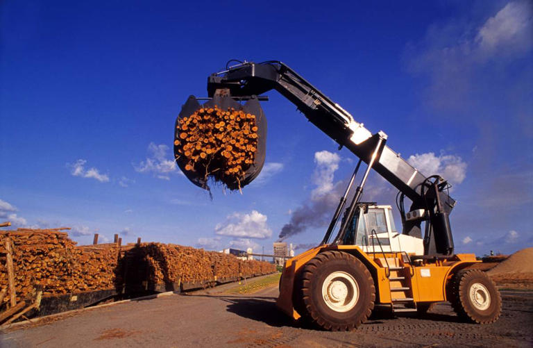 Scientists warn Amazon is approaching irreversible forest loss faster ...