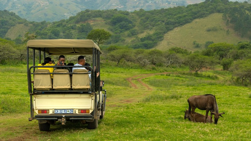 Tour operator held responsible for Australian tourist injuries on safari