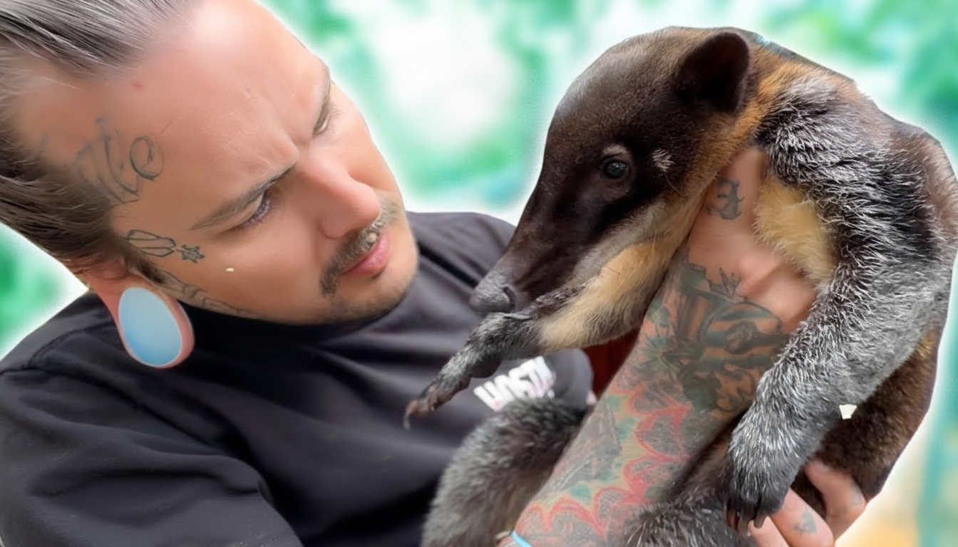 Emergency vet rush - Chaka’s condition turns serious fast