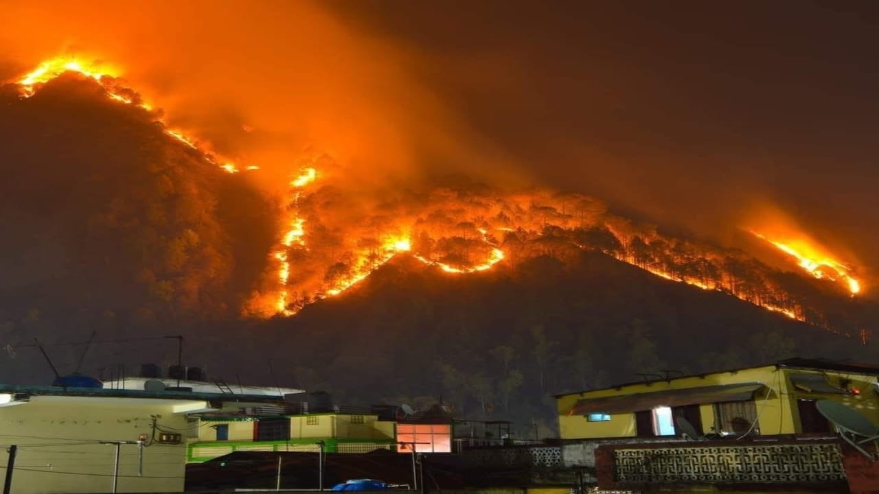 Uttarakhand forest fires: Flames damage forests but clear pine leaves ...