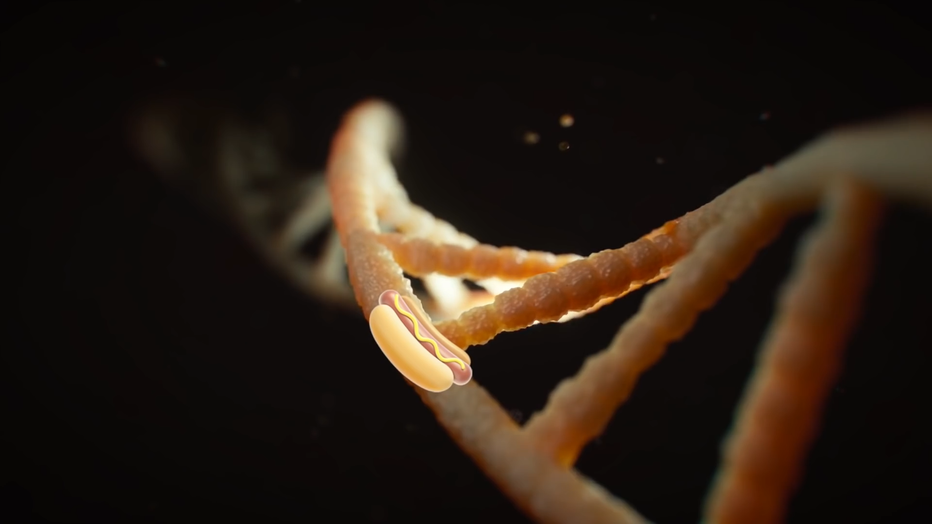 Can your DNA really reveal your hidden ancestry?